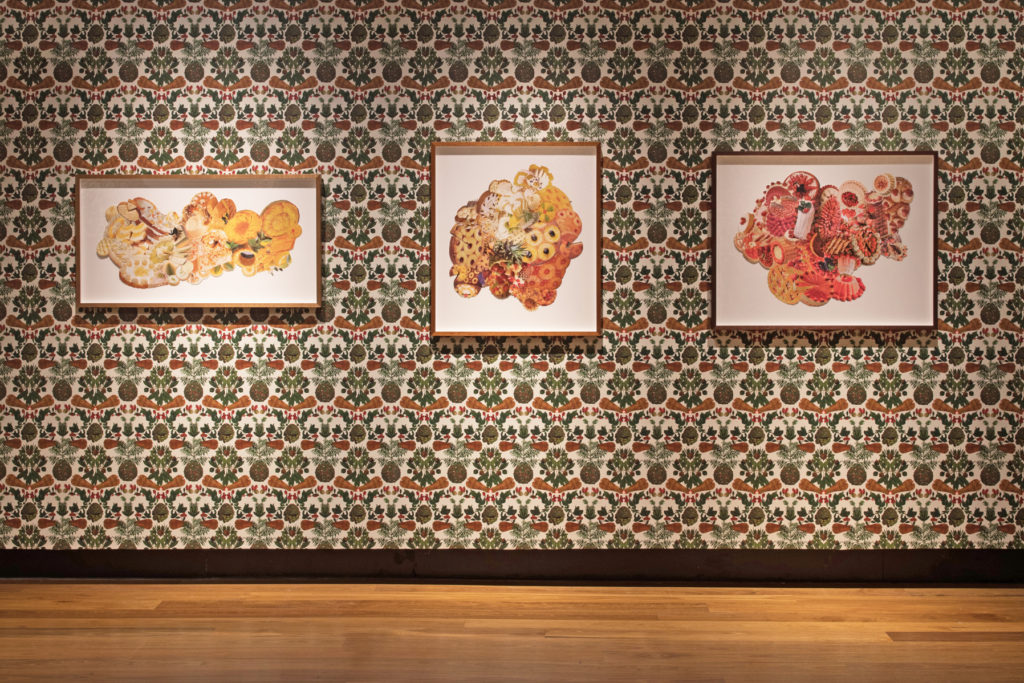 Elizabeth-Willing-installation - Museum of Brisbane | MoB