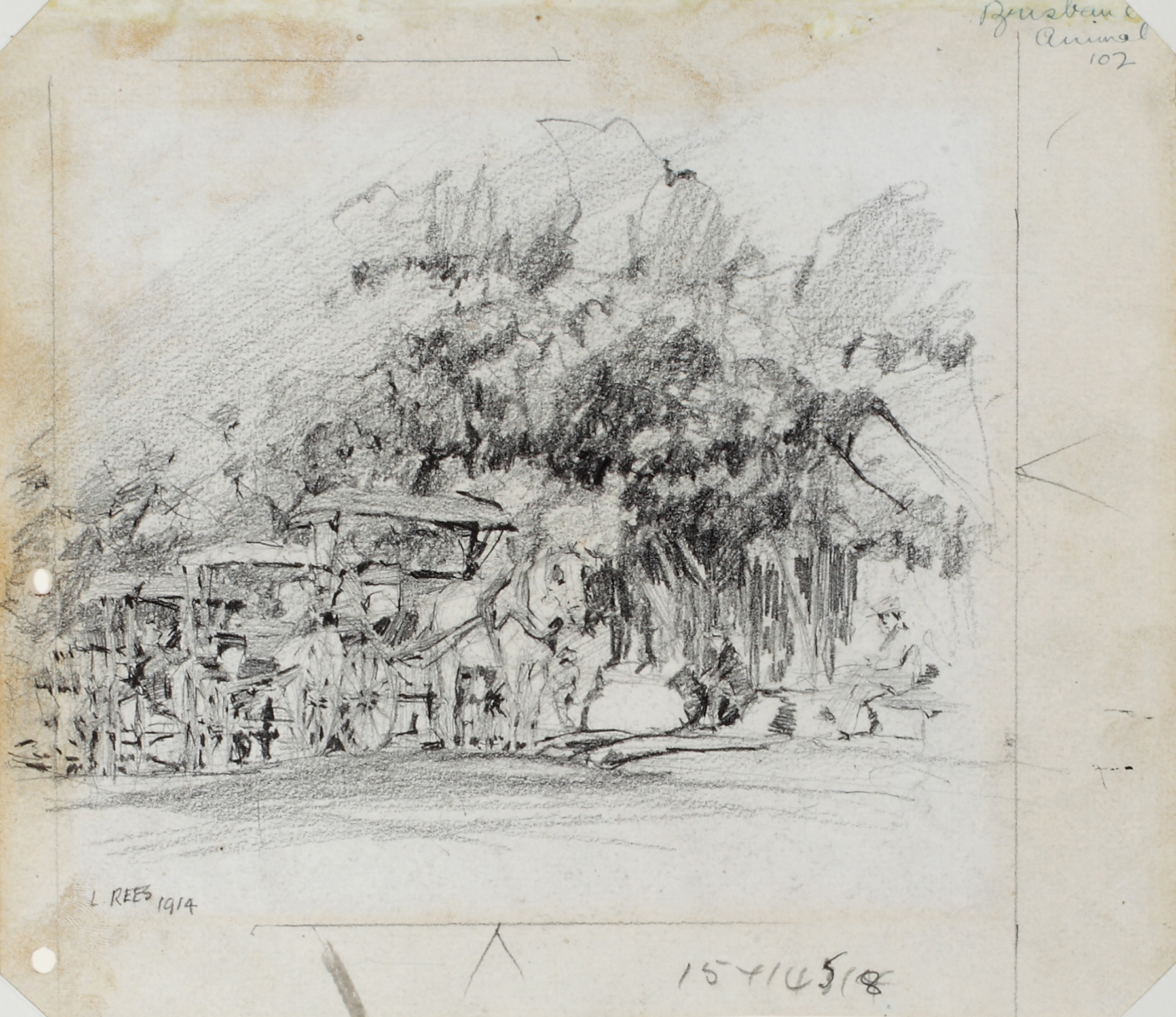 Lloyd Rees | Drawings from the Collection - Museum of Brisbane | MoB