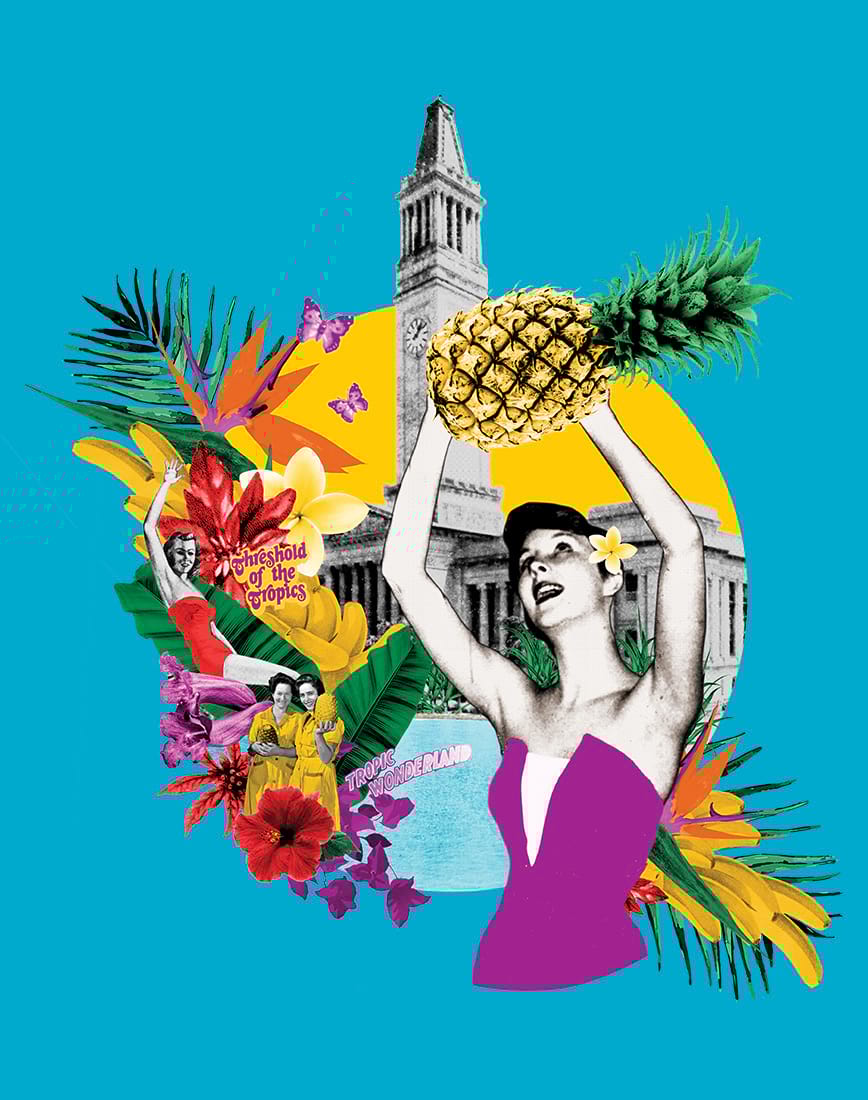 CITS_front-page-website (1) - Museum of Brisbane | MoB