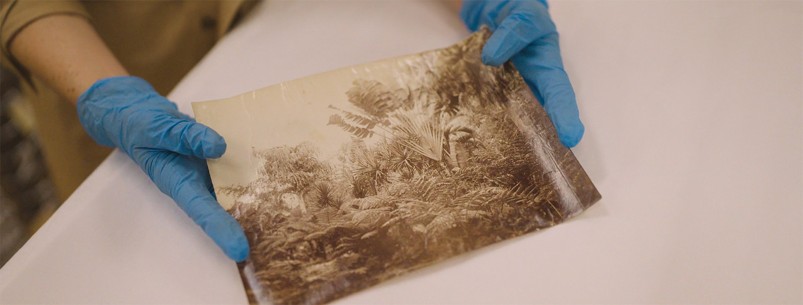 albumen-print-banner - Museum of Brisbane | MoB