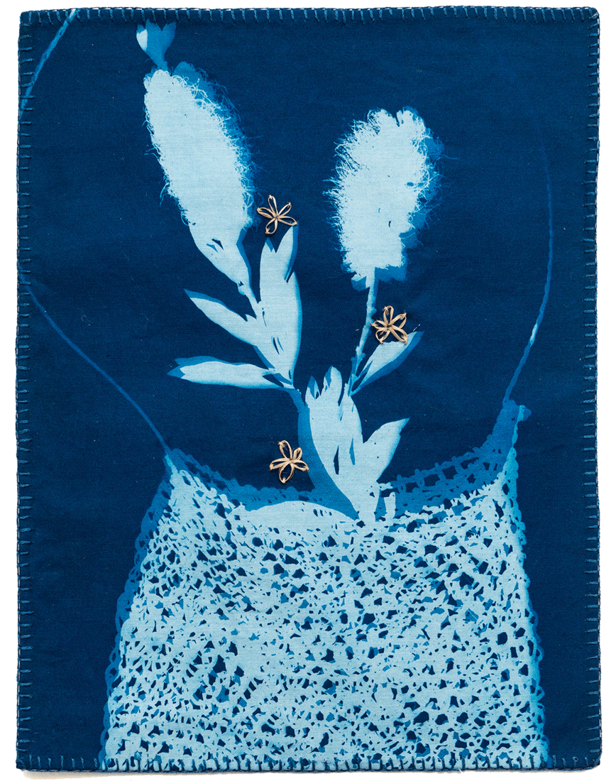 Rearranged: Art of the Flower - Museum of Brisbane | MoB