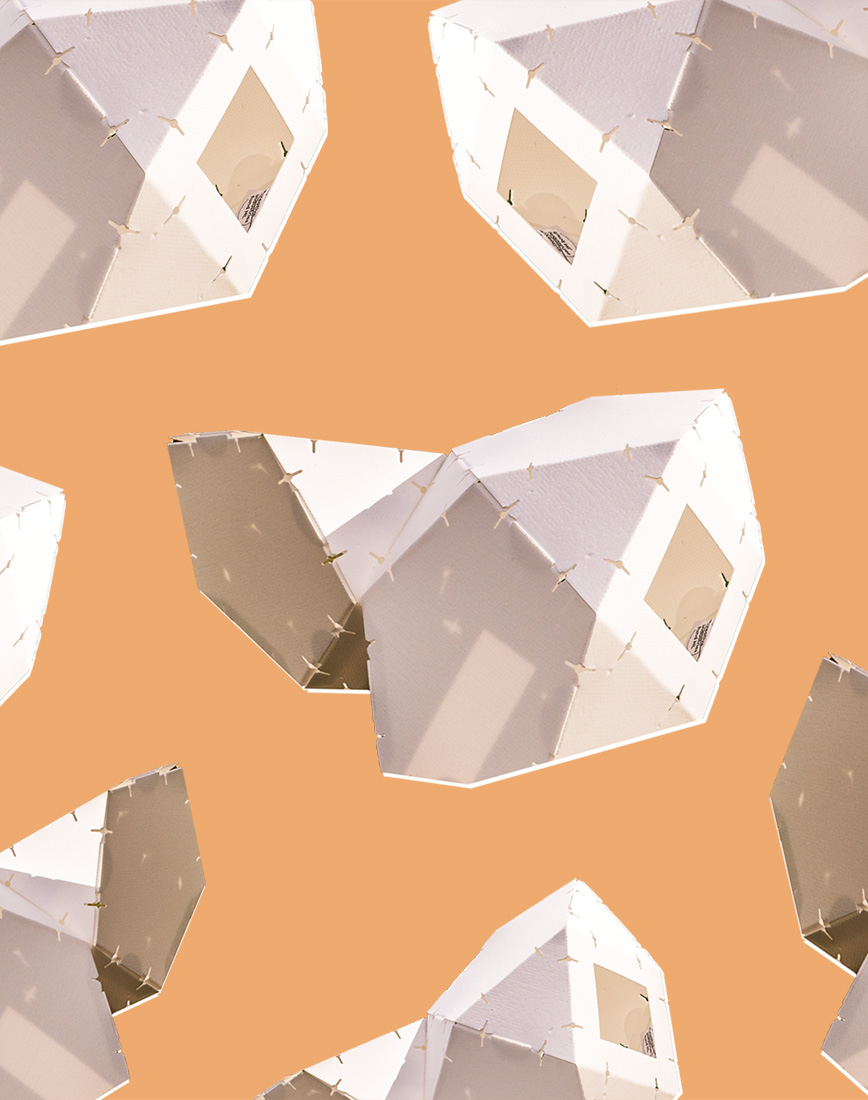 Petal-Patterns-Thumbnail2 - Museum of Brisbane | MoB